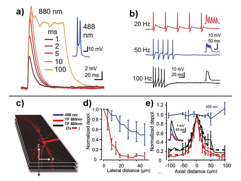 Single-neuron-specific optogenetic control – Vaziri Lab