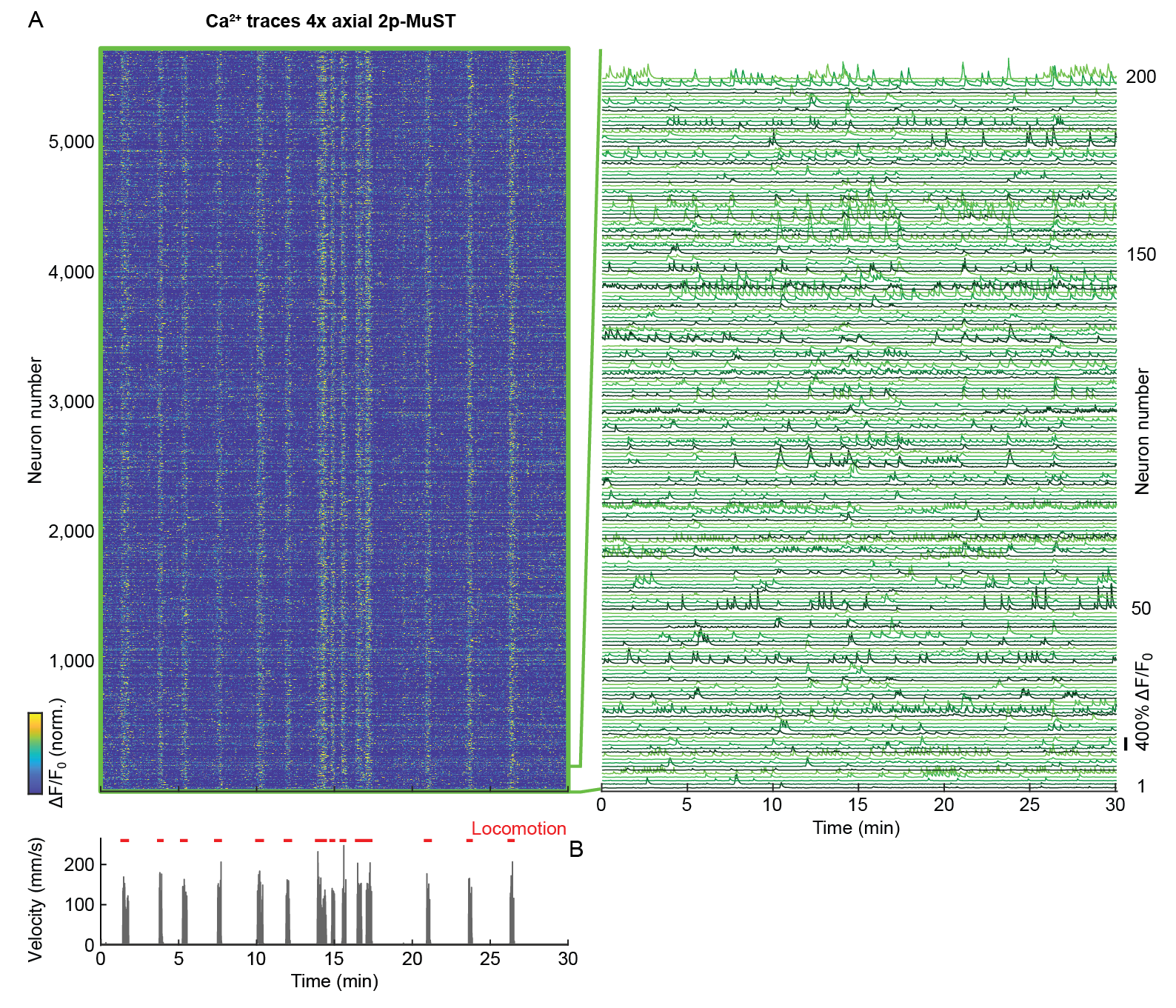 Volumetric Ca2+ imaging in the mouse brain using Hybrid Multiplexed ...